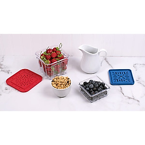 HIC Kitchen BerryFresh Half Pint Produce Box, Blue