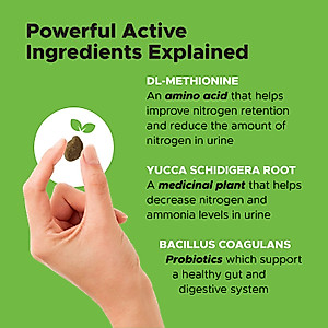 PetHonesty Flea & Tick Support + Grass Green Bundle - Natural Flea and Tick Soft Chew for Dogs, Pest Defense, Oral Flea Pills for Dog, Itch Relief, Digestive Enzyme for Dogs, Dog Pee Grass Lawn Spot S