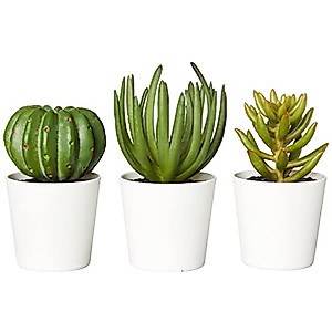 Amazon Basics Artificial Mini Succulent Fake Indoor Plants with Plastic Planter Pots, 3 Pack