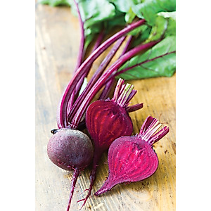 Burpee Moulin Rouge Hybrid Beet Seeds 300 seeds