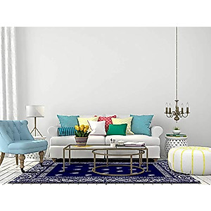 Bandana Blue Area Rugs Non-Slip Floor Mat Doormats Home Runner Rug Carpet for Bedroom Indoor Outdoor Kids Play Mat Nursery Throw Rugs Yoga Mat