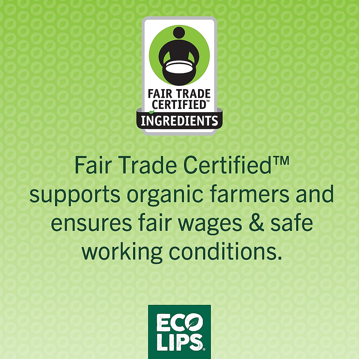 Eco Lips Lip Food - Nutrient Dense & Organic Lip Balm (Nourish, Plump and Protect)