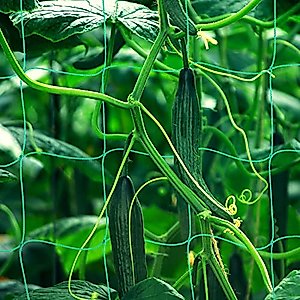 Trellis Netting for Climbing Plants, 6.6 x 16 Ft Cucumber Trellis Heavy Duty Garden Vegetables Grow Net for Fruits, Bean, Tomato, Garden Plants
