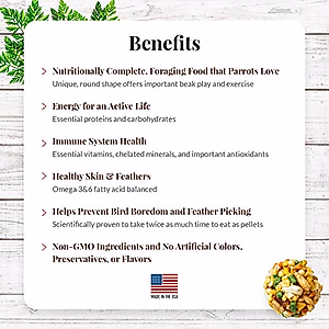LAFEBER'S Garden Veggie Nutri-Berries Pet Bird Food, Made with Non-GMO and Human-Grade Ingredients, for Parrots, 3 lb