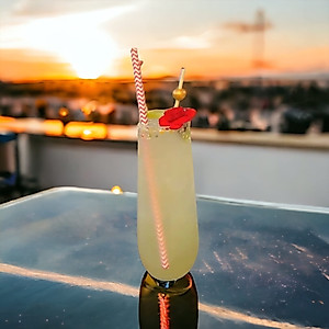 24 piece Stemless Unbreakable Crystal Clear Plastic Wine Glasses Set of 24 (9 Ounces)