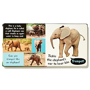 Noisy Baby Animals: Includes Six Sounds! (My First)