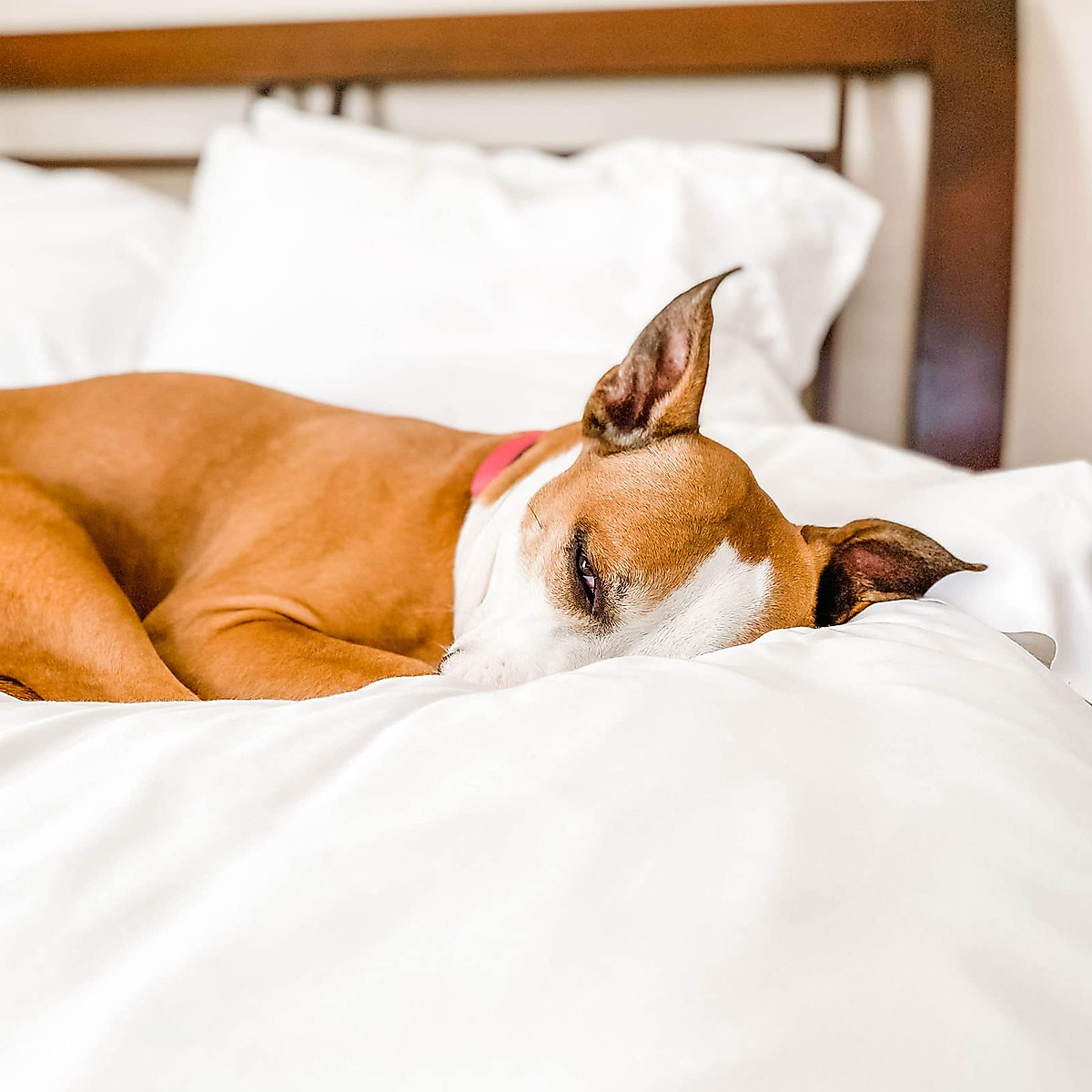 Wooflinen Luxurious Viscose Derived from Bamboo King Duvet Cover Set - Corner Ties - Zipper Enclosure - Wonderfully Soft - Matte White - 3pc Cover + 2 Pillowcases