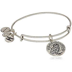 Alex and Ani Occupations Expandable Bangle for Women, Teacher Charm, Rafaelian Silver Finish, 2 to 3.5 in