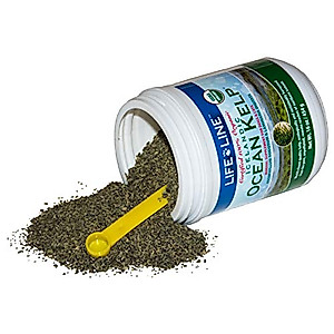 Life Line Pet Nutrition Organic Ocean Kelp Supplement for Skin & Coat, Digestion in Dogs & Cats,16oz, 20101