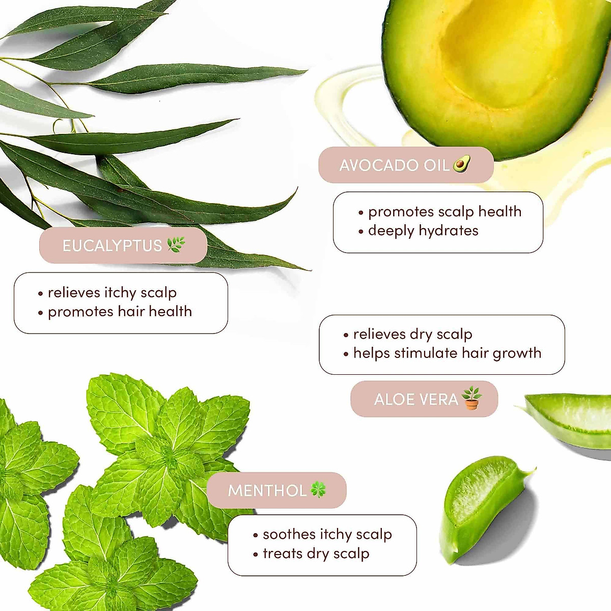 Mizani Scalp Care Calming Scalp Lotion |Dandruff Treatment | Nourishes & Soothes Scalp | For Curly Hair | 4 Fl Oz