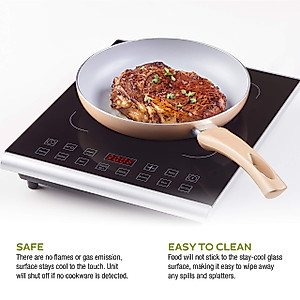 Zavor PRO Portable Induction Cooktop, Magnetic Countertop Burner with 8 Pre-sets and 325°F Temperature Range, 1800W, Black (ZSEPR01)