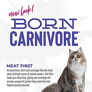 Tiki Cat Born Carnivore Optimal Weight, Turkey, Grain-Free Baked Kibble to Maximize Nutrients, Dry Cat Food, 2.8 lbs. Bag