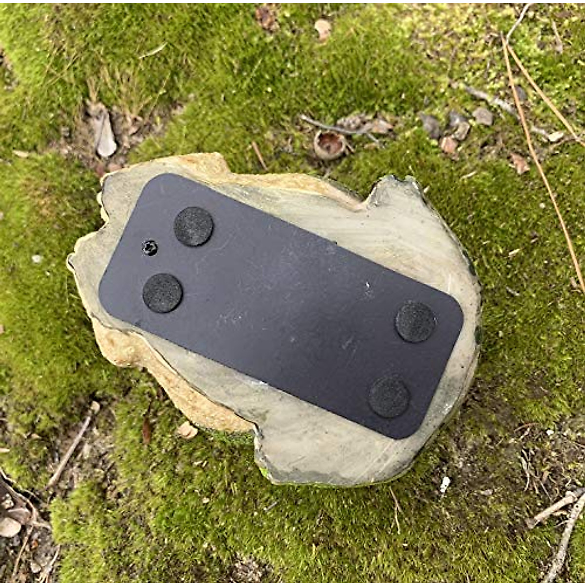 Top Brass Chunky Frog Key Hider Figurine - Cute Toad Garden Statue with Secret Compartment - Indoor / Outdoor