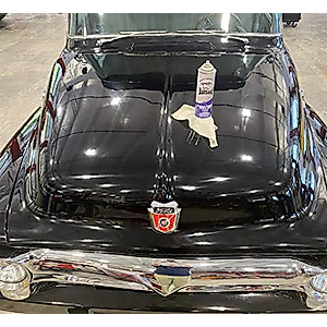 BullSnot! PolishABull Detail Cleaner & Polish