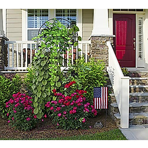 2 Packs 64"x17" Metal Garden Trellis for Climbing Plants Rustproof Sturdy Black Iron Trellis Plants Support Outdoor for Climbing Vegetable Rose Potted Plants Flower Cucumber Clematis