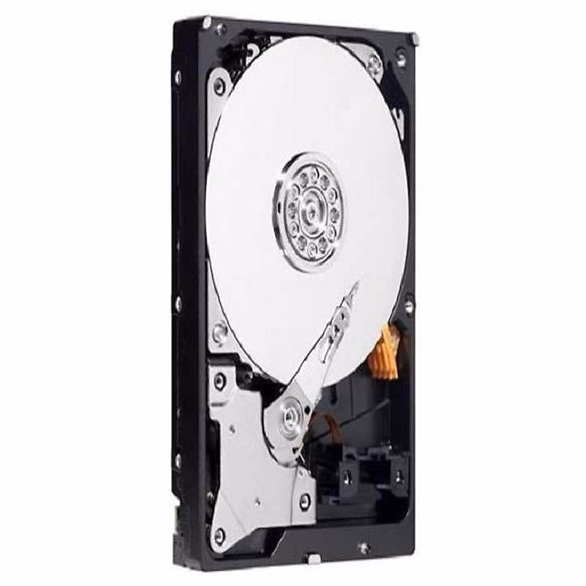 WD RE4 2 TB Enterprise Hard Drive: 3.5 Inch, 7200 RPM, SATA II, 64 MB Cache (WD2003FYYS) (Old Model)