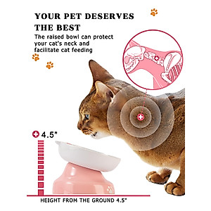 Y YHY Ceramic Slow Feeder Cat Bowl, Elevated Cat Bowl Tilted Design Slow Feeder for Dog and Cat for Dry and Wet Food, Pink