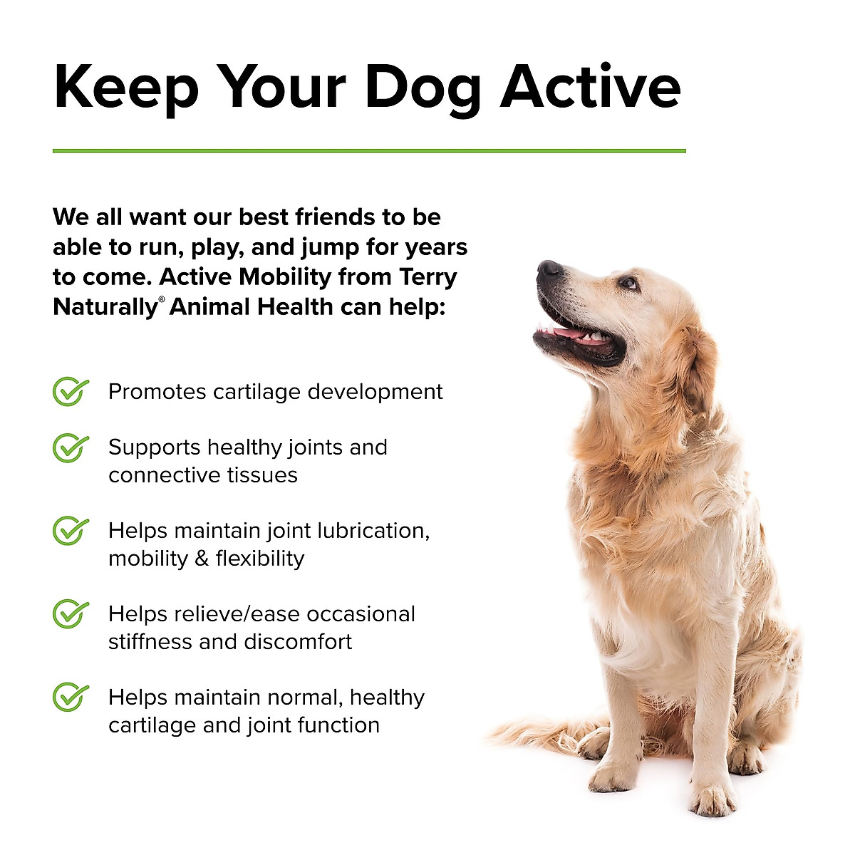Terry Naturally Animal Health Active Mobility - 60 Beef-Flavored Chewable Tablets - Supports Joint Health with Glucosamine, Chondroitin & Collagen - Canine Only - 60 Servings