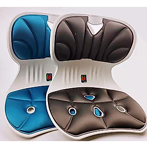 Taiwan Hip Comfortable Lumbar Back Support. Perfect for Home, Office, Desk Chair. Technology for Pelvic Correction. Low Back (Grey) Pain Relief