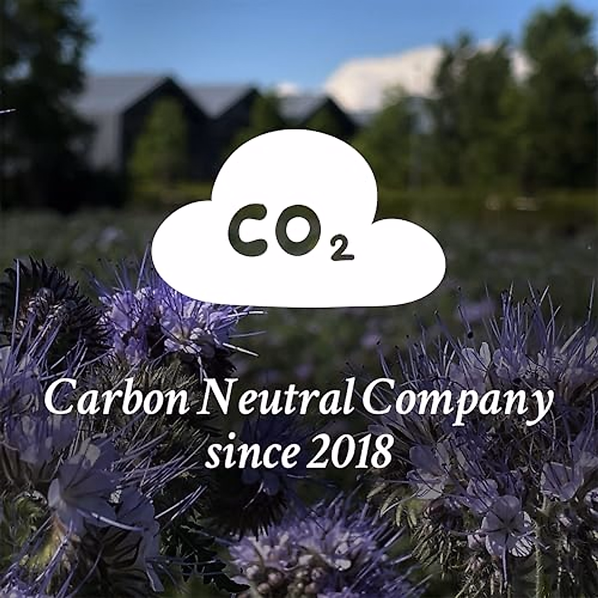 Davines Pasta & Love Men's Softening Shaving Gel to Foam, Soothing Formula with Alkekengi Extract, 6.76 fl. oz.