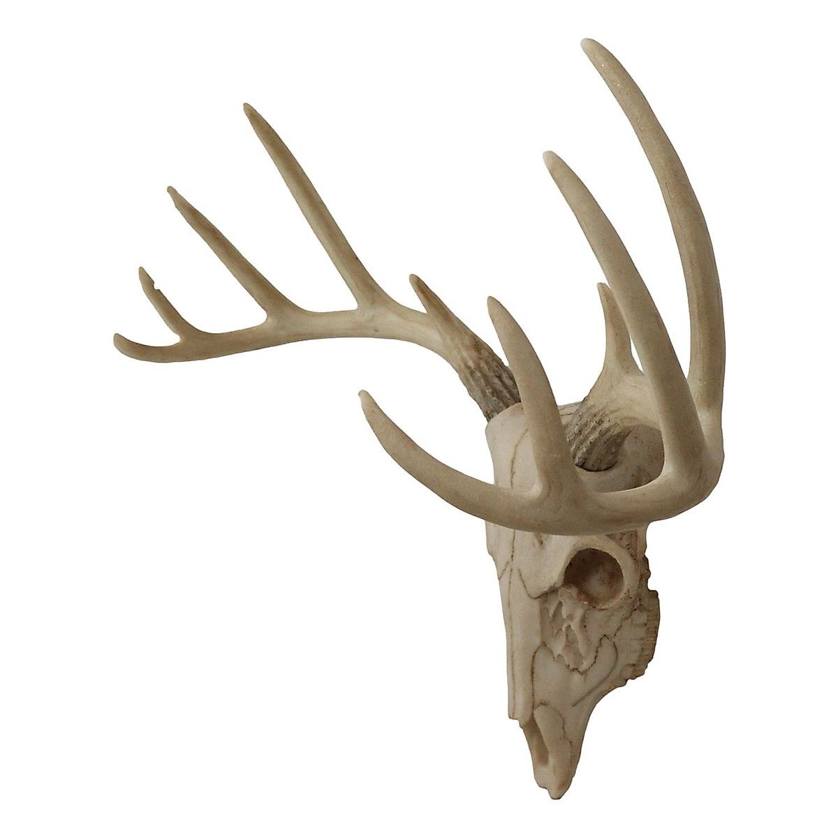 Ebros Gift Rustic Hunter Deer 10 Point Buck Skull Trophy Antlers Wall Mounted Plaque Trophy Decor Figurine 14.25" Long Hunter's Antler Rack Theme Deers Bucks Hunting Skulls Trophies Hanging Sculptures