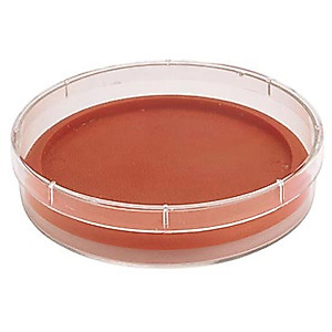 Pioneer Plastics 053C Clear Round Petri Dish Plastic Container, 4.6875" W x 1" H