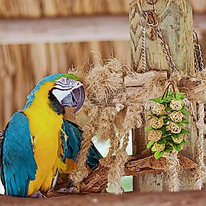 generic 1 String Chewing Chew Bird Pet Small Foraging Parrot Budgies Conures of Entertaining Lovebirds Macaws Lovebird Toys Cage for Conure Cockatiel Shredder Parakeet Toy Balls Plaything