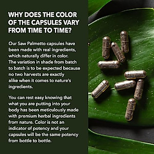 Saw Palmetto for Men Prostate Supplement | Prostate Support Supplement for Men's Health | Potent Saw Palmetto for DHT, Urinary and Prostate Health | Over 3 Month Supply Saw Palmetto Supplement