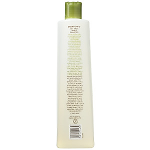 Trader Joe's Tea Tree Tingle Shampoo with Peppermint, Tea Tree and Eucalyptus Botanicals, 16-Ounces
