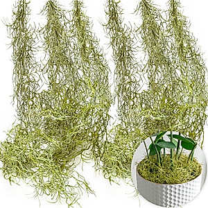 SEEKO Succulents Extra Large Spanish Moss (6pck, 6oz, 33" Long) - Fake Moss for Crafts