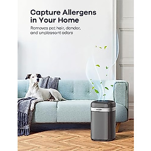 Air Purifiers for Bedroom: Welov H13 True HEPA Air Purifiers for Pets Allergens Removal to 0.1 Microns, 23db Quiet, Night Light, Air Cleaner Odor Eliminator for Pet Hair Pollen Smoke Dust, Ozone Free