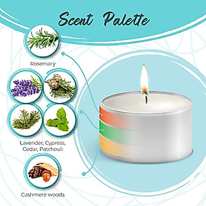 Moonlight Makers, Chicago (CHI), Walk In The Woods Scented Handmade Candle, Natural Soy Wax Candle, 25+ Hour Burn Time, 8oz Tin