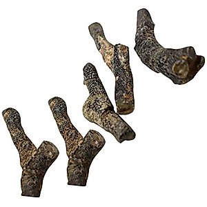Scicalife Kids Toys 5Pcs Stromatoporoid Fossils Ordovician Bryozoan Fossils Specimens Ancient Marine Fossils Model Figurine Science Teaching Materials Random Style Kid Toys
