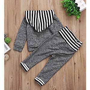 Toddler Infant Baby Boy Girls Clothes Hoodie Fall Winter Sweatsuit Pants Gender Neutral Long Sleeve Outfit Set(18-24 Months, Dinosaur)