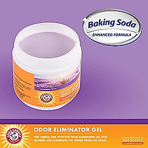 Arm & Hammer For Pets Scents Solid Gel Deodorizer in Lavender Fields Scent | Room Deodorizer for Homes with Pets, Odor Removing Gel for Pet Smells, 15 Ounces