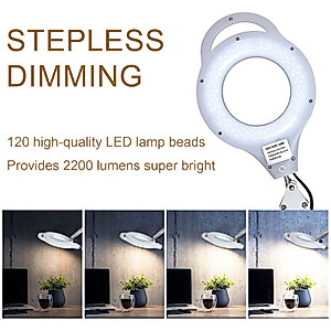 10X LED Magnifying Lamp, 2200 Lumen Super Bright Stepless Dimmable Magnifying Glass with Light, 4.2'' Real Glass Lens, Adjustable Metal Swing Arm Magnifier Lamp for Esthetician,Soldering,Sewing,Crafts