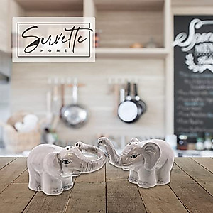 Animal Salt and Pepper Shakers - Interlocking Elephants