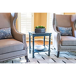 Decor Therapy Simplify Wood Accent Storage Shelf End Table, 24 x 19.5 x 15.75, Antique Artic Blue