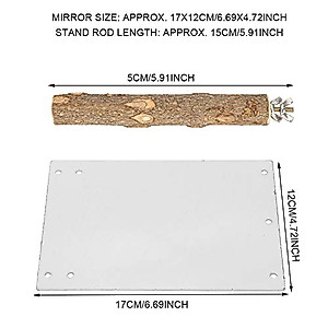 Bird Mirror, Stainless Steel Medium Small Parrots Mirror Bird Mirror Toy with Wooden Standing Rod for Parrot Parakeet Cockatiels