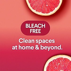 Clorox Scentiva Wipes, Bleach Free Cleaning Wipes - Tahitian Grapefruit Splash, 75 Count (Pack of 3)