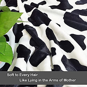 AUIVTY Cow Blanket, Fleece Cow Print Blanket for Kids Adults, Luxurious Soft Black and White Cow Blankets and Throws Western Cowhide Decor for Couch Sofa Bed(Cow-1, 40x50)