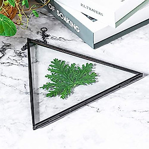 NCYP Side Length 8 Inches, Black Hanging Brass Glass Frame for Pressed Dried Flowers, Picture Photos Double Glass, Floating Frame Style Triangle Herbarium (Glass Frame Only)