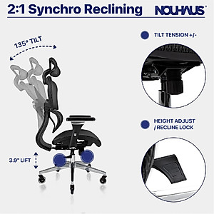Nouhaus Ergonomic Office Chair with Lumbar Support High Back Mesh Desk Chair Best Desk Chair for Long Hours Adjustable Headrest and 4D Arms SGS Certified Gas Cylinder (Ergo3D Black)