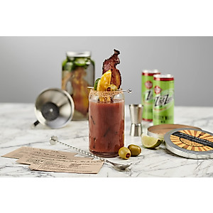 Bloody Mary Cocktail Kit: 16 oz Beer Can Drinking Glass Set | Zing Zang Bloody Mary Mix | Rokz Salt Tin | Infusion Jar | Bar Spoon | Jigger | Garnish Picks | Recipe Cards