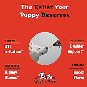 Cranberry Supplement for Dogs - Dog UTI Treatment - Dog Cranberry Supplement - Cranberry for Dogs - Dog UTI Cranberry - Dog UTI - UTI Treatment for Dogs - UTI Dogs - 1 fl oz - Bacon Flavor
