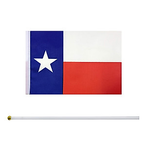 LoveVC Texas State Flag Small Mini Texas Stick Flags,25 Pack — 🛍️ The ...