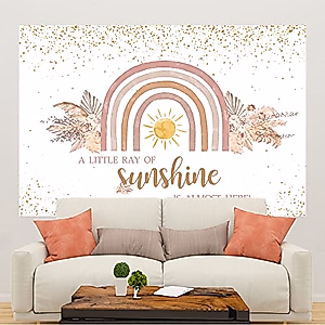 Ticuenicoa 5×3ft Boho Rainbow Baby Shower Backdrop A Little Ray of Sunshine is Almost Here Baby Shower Party Banner Wall Decorations Boho Pampas Glitter Dots Girls Baby Shower Background