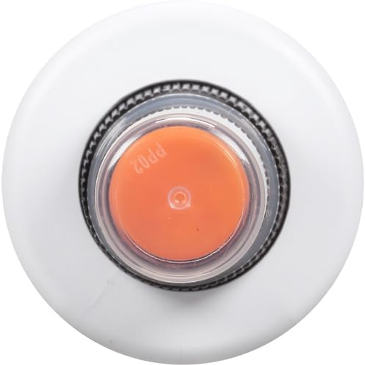 Armor All 10010 Original Protectant - 10 oz.