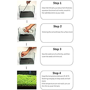 2 Pack Live Aquarium Plant Seeds, Water Grass Plants Mini Leaf , Aquarium Grass Plant Seeds, Aquarium Small Leaf Grass, Aquarium Water Grass Seeds, Creates Lush Green Carpet Plant