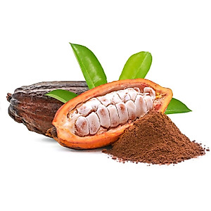 Fresh Cacao Seeds for Planting - Wet Cocoa Seeds - Make Chocolate, Great as Bonsai (4 Seeds)